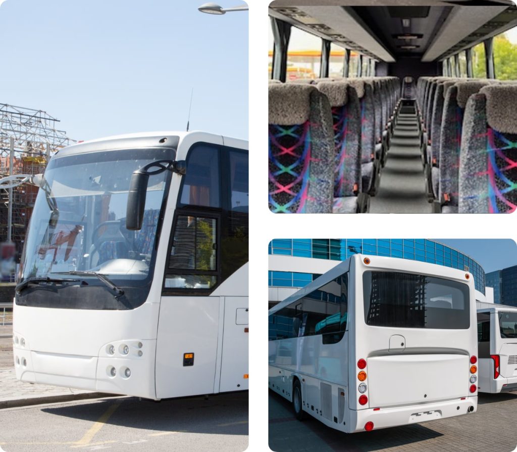 School Bus Hire Services in Sydney | School Bus Transfers | Buses N Co.